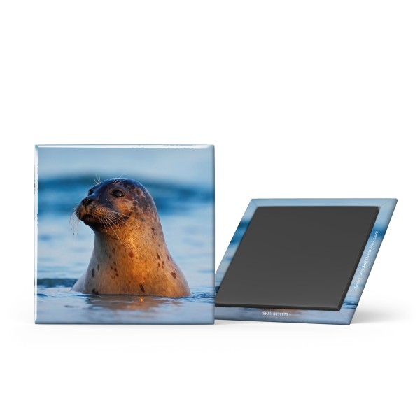 Square Photo Magnets